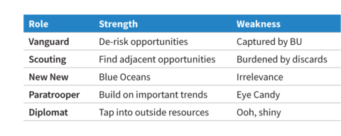 The Weaknesses of Innovation Groups | Innovation Portfolio